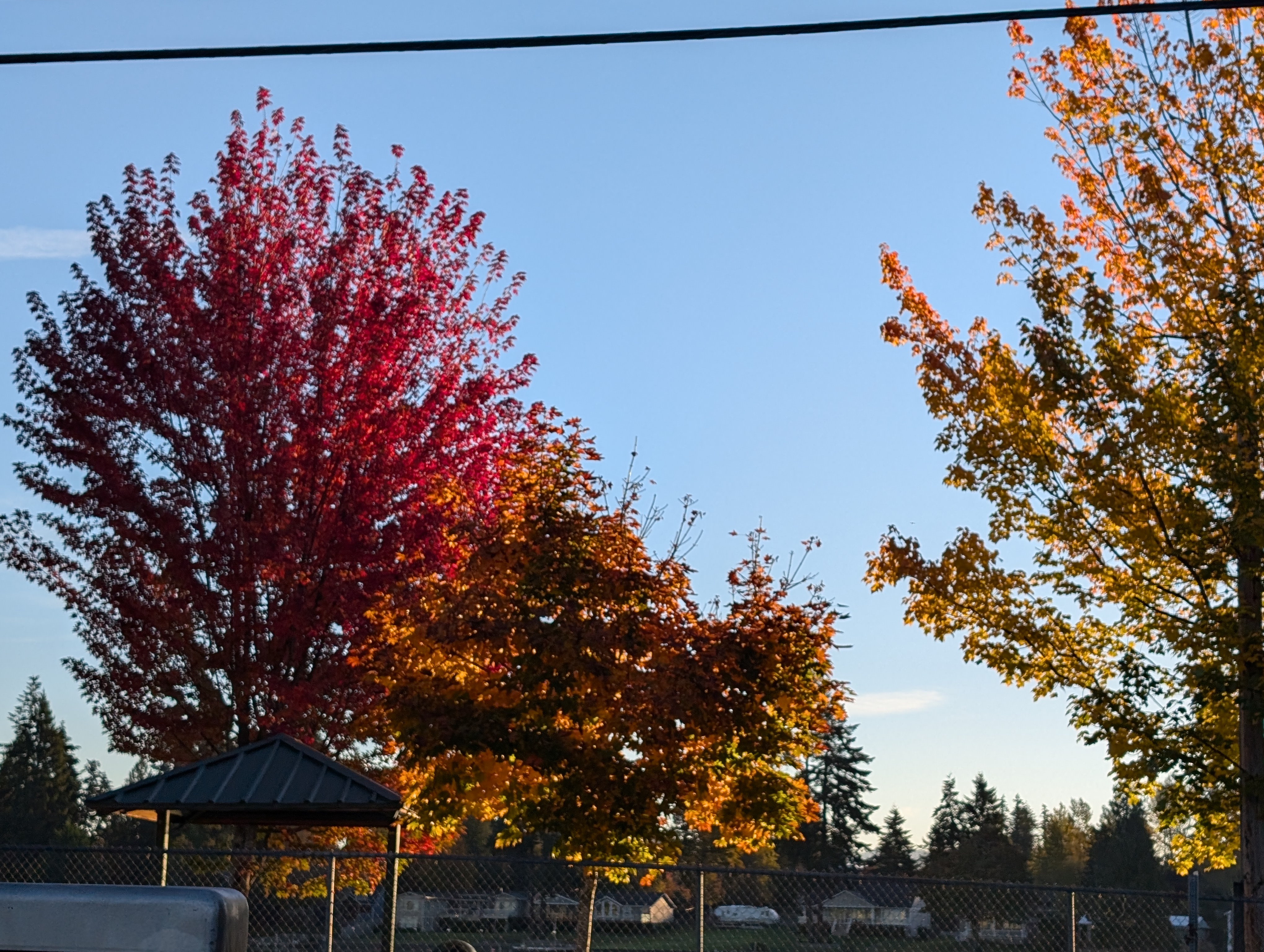 Fall in the Pacific Northwest – 6 Spots to Visit - Roam To Breathe